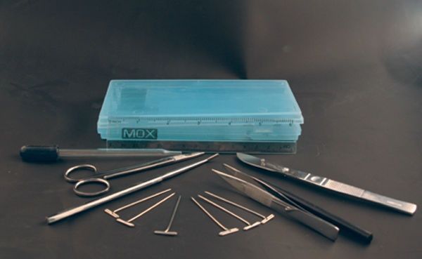 Science First High School Dissecting Kit, 8 Pc W/transparent Case