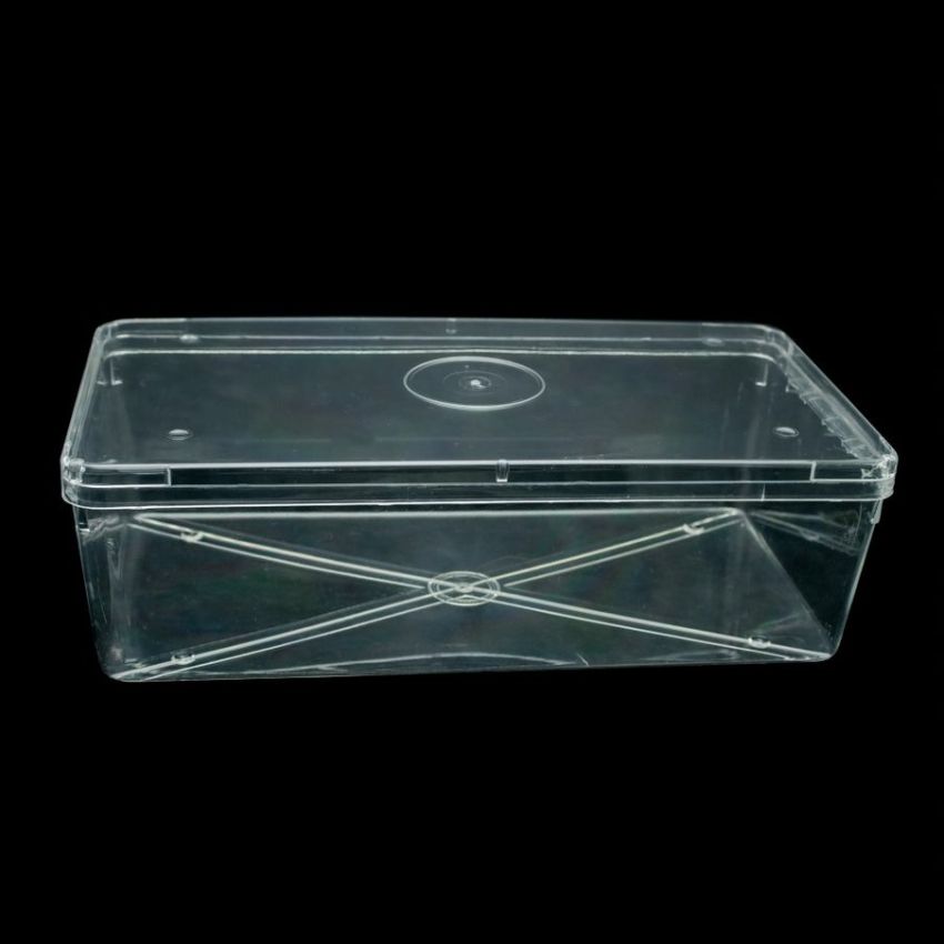 Science First Contour Model Box and Lid