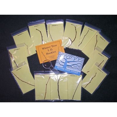 Science First Winter Tree Identification Kit, Using Twigs