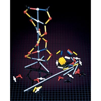 Science First Dna Model Kit (12 Packets).