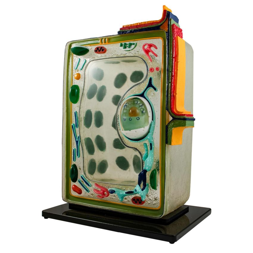 Science First Plant Cell Model